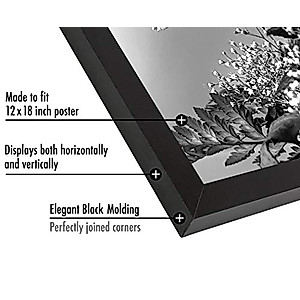Americanflat 12x18 Poster Frame in Black - Composite Wood with Polished Plexiglass - Horizontal and Vertical Formats for Wall with Included Hanging Hardware