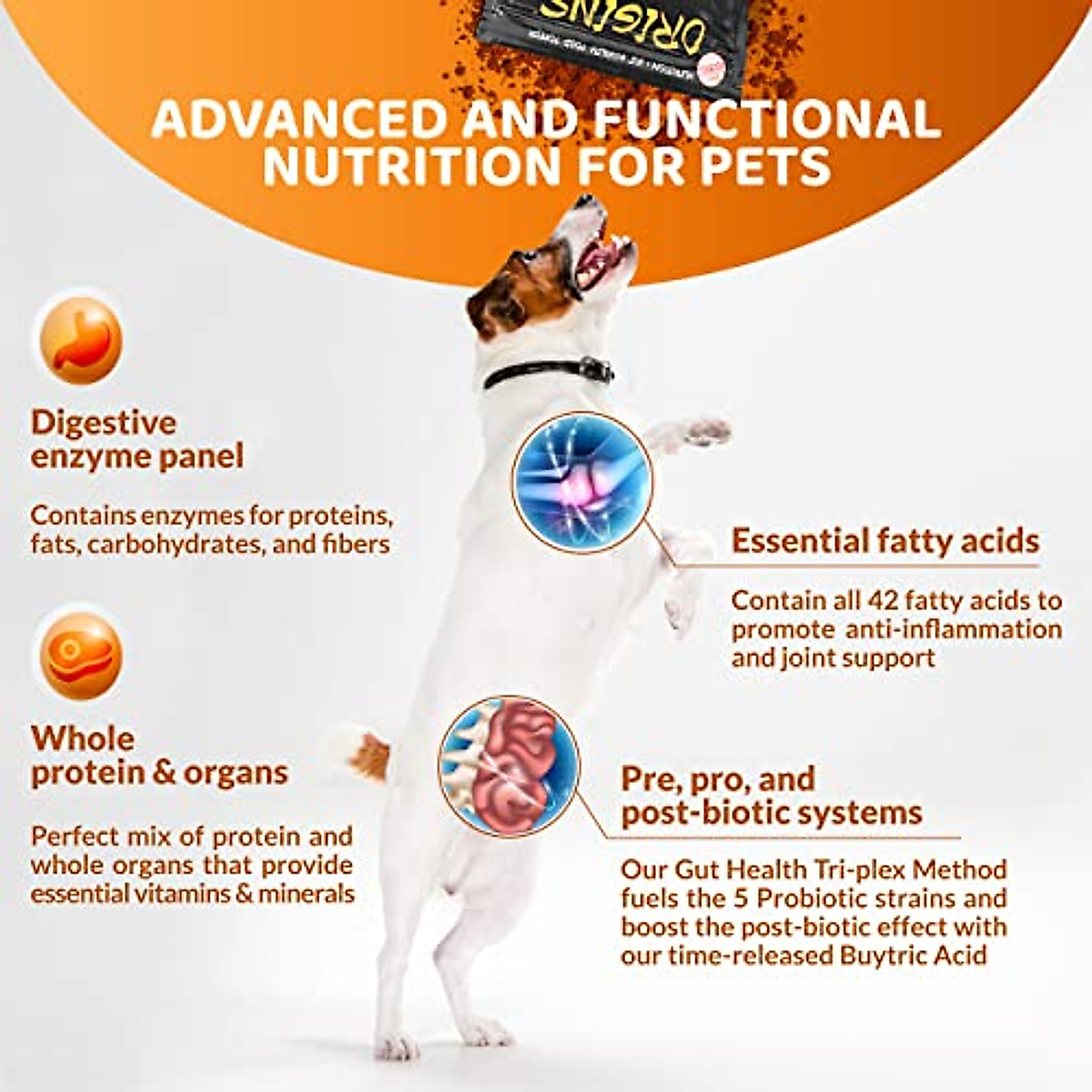 ROGUE PET SCIENCE Origins 5-in-1 Dog Supplement - Powdered Food Topper w/Natural Omega 3 Fish Oil - Supports Healthy Digestion, Skin, and Coat - Helps Reduce Itching & Joint Inflammation (5 lbs)