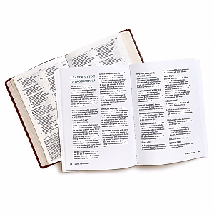 Jesus and Women - Bible Study Book: In the First Century and Now