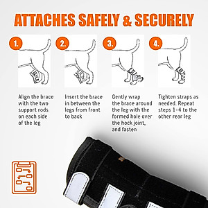 NeoAlly - Rear Leg Hock Brace with Metal Spring Strips, Dog Leg Brace for Rear Leg, Hock & Ankle Support, Rear Dog Leg Brace for Large Dogs, Long. (Both Legs, Small)