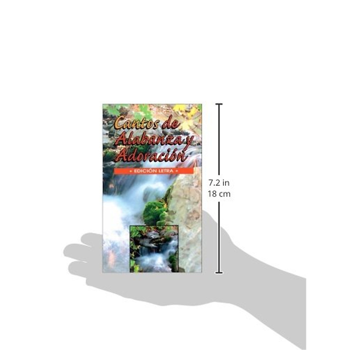 Cantos de Alabanza y Adoracion- Songs of Praise & Worship--Spanish Word Edition (Spanish Only) (Spanish Edition)