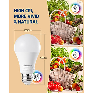 DEWENWILS 4-Pack Dimmable LED A19 Light Bulb, 800 Super Bright, 2700K Soft Warm Light Bulb, 10W (60 Watt Equivalent) LED Bulb, E26 Medium Screw Base, UL Listed