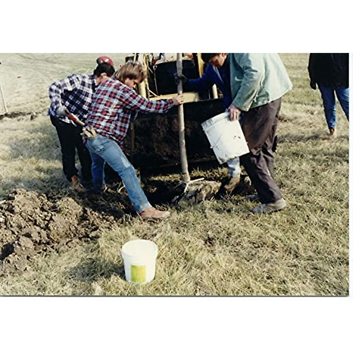 Soil Moist 100064312 JCD-030SM 3-Pound Granules, White