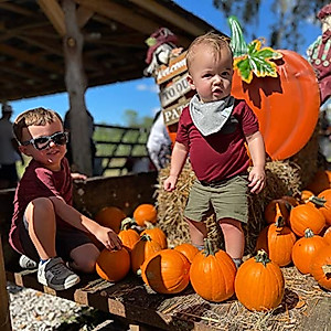 Quinton Bradley Baby 4 Pack Bandana Drool Bib Basics Solid Color (Maroon)