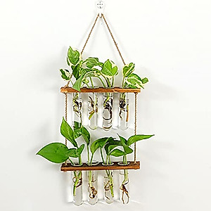 Wall Hanging Planter, 2 Tiered Plant Propagation Stations Plant Terrarium with Wooden Stand, Glass Planter Test Tube Vase for Propagating Hydroponic Plants Home Decor