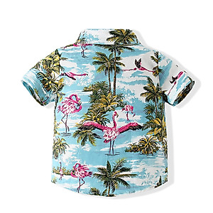 Baby Boy Button Down Hawaiian Shirts Short Sleeve Cool Cartoon Print Aloha Dress Tops T-Shirt