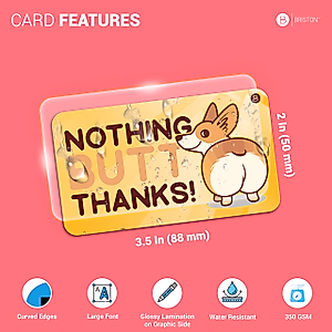 70 Punny Kudos Cards – Funny Pun Humor Blank Back Thank You Appreciation & Recognition Postcard – School Lunch Box Kids Notes – Business Employee Motivational Affirmation Bulk Gift – Teacher Reward