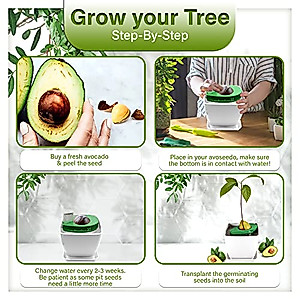 AvoSeedo Avocado Tree Growing Kit with Pot, Green & White, Practical Gifts for Women, Mom, Sister, Best Friend & Kids, Plant Indoors with Novelty Pit Grower Boat & Kitchen Garden Seed Starter