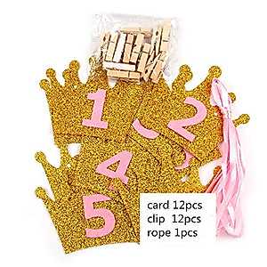 Symphony Birthday Photo Banner, 1st Birthday Baby Photo Banner Newborn to 12 Months Birthday Party Decor (Crown Golden Pink)