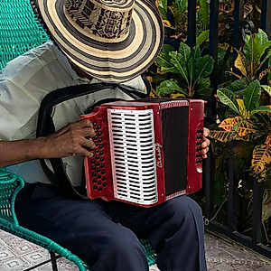 31-Key Diatonic Accordion, 12 Bass, G/C/F, Accordion Instruments for Adults With Suitcase, Cleaning Cloth, Straps and Gloves (Red)