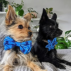 H&K Pet Pinwheel | Octopus Garden (Large) | Velcro Collar Accessory for Dogs/Cats | Fun Pet Pinwheel Collar Attachment | Cute, Comfortable Pet Accessory