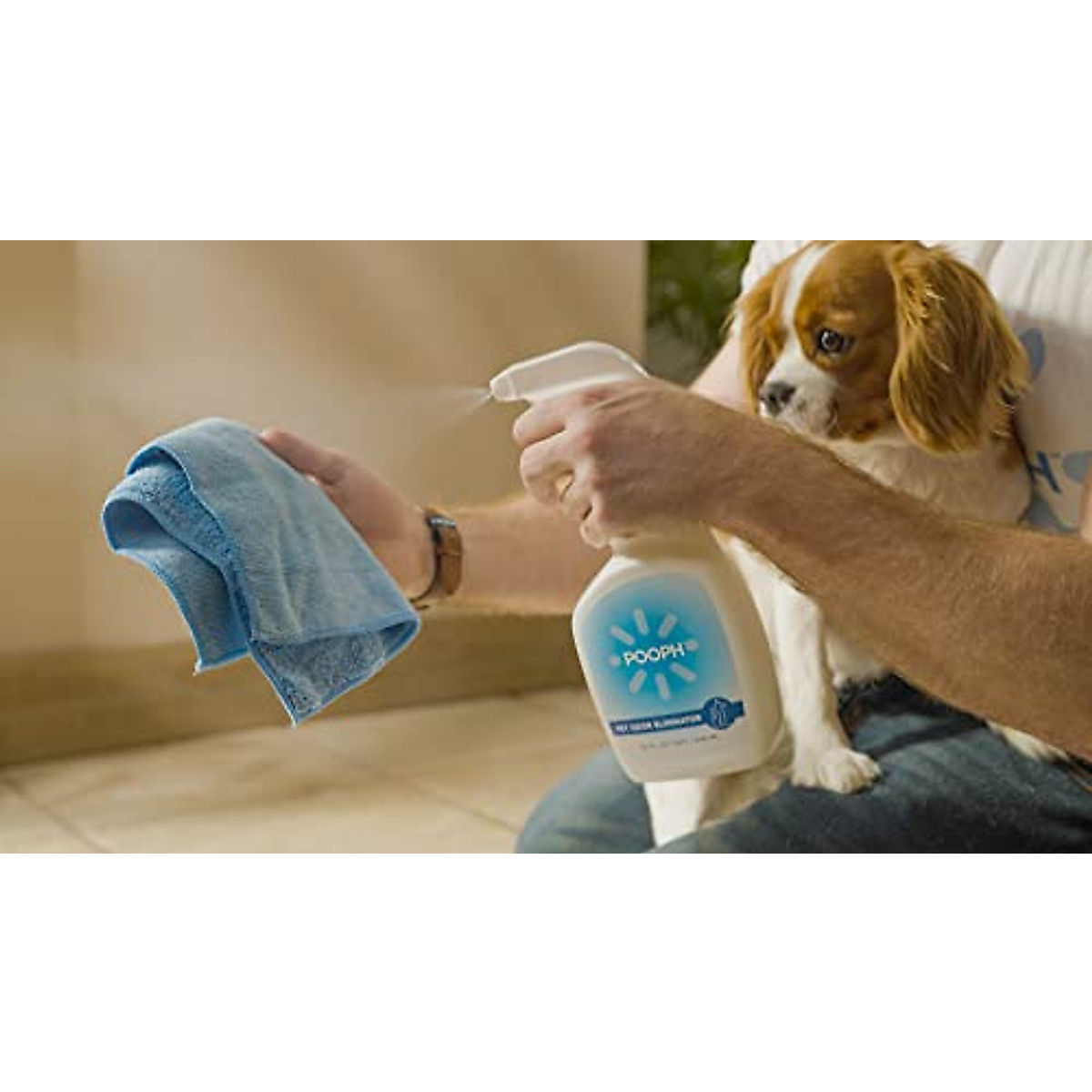 Pooph Laundry Additive, 32oz Bottle (16 Loads) - Dismantles Odors on a Molecular Basis, Dogs, Cats, Freshener, Eliminator, Urine, Poop, Pee, Deodorizer, Natures, Puppy, Fresh, Clean, Furniture, Potty