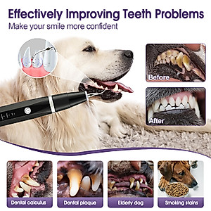 VVHOMIFE Dog Teeth Cleaning Kit-Dog Tooth Plaque Remover-Ultimate Pet Dental Care Kit - Ultrasonic Teeth Cleaner and Plaque Remover for Dogs | Complete Oral Hygiene Solution-Black