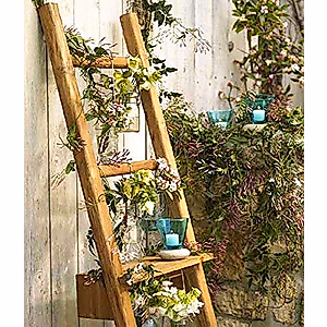 Haussmann Teak Towel Ladder 18 x 64 in H Adj Shelf Teak Oil