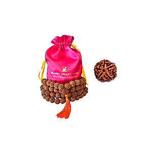 Himalayan organic five face Rudraksha necklace mala. Standard size 108 beads grown up in Himalaya of Nepal without chemical, wax and color treatment