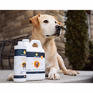 Smart Earth Camelina Oil for Dogs - Omega 3, 6, 9 Supplement for Healthy Skin, Shiny Coat & Flexible Joints - Dog Joint Supplement - Natural Canine Wellness - Omega 3 for Dogs (Pump Included - 64oz)