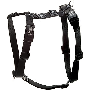 Blue-9 Buckle-Neck Balance Harness, Fully Customizable Fit No-Pull Harness, Ideal for Dog Training and Obedience, Made in The USA, Black, Medium/Large