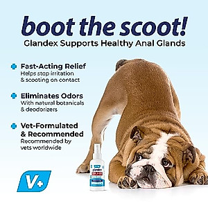Glandex Medicated Dog Anal Gland Spray - Pain Relieving & Anti-Itch Formula to Soothe Inflamed Anal Glands in Dogs & Cats - Fast Acting Clinical Formula - Vet Recommended - Boot The Scoot (4oz)