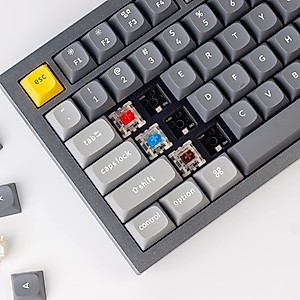 Keychron Q3 Wired Custom Mechanical Keyboard Knob Version, TKL QMK/VIA Programmable Macro with Hot-swappable Gateron G Pro Brown Switch Double Gasket Compatible with Mac Windows Linux (Grey)