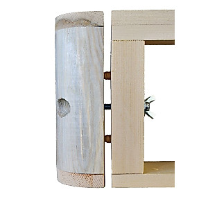 Bio Sleep Concept Natural Latex Foam Mattress Foundation with Feet (King, 5 inch)