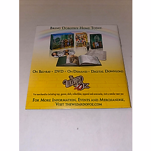 The Wizard of Oz: Beyond the Yellow Brick Road NDS