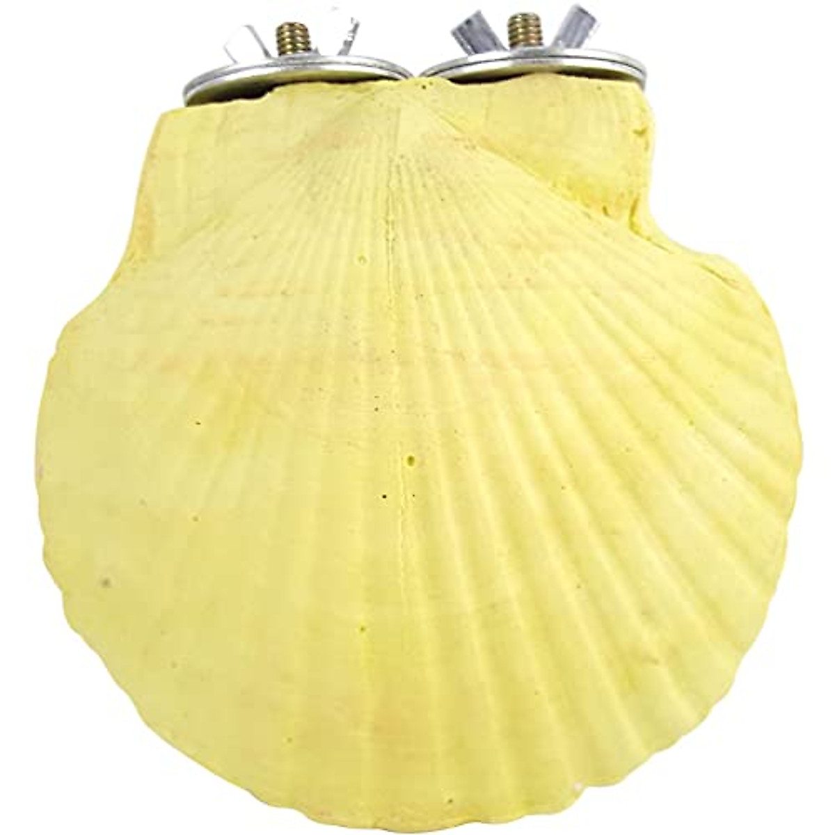 PATKAW Bird Perch Bird Beak Stone Mineral Lava Blocks Trimming Chew Toys Pumice Stones Parrot Perch Stand for Conures Cockatiels Parrots Random Color