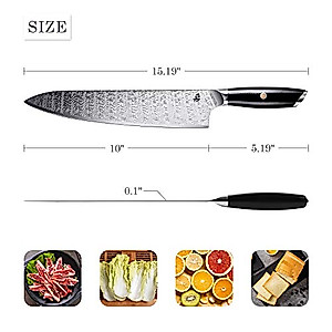 TUO Chef Knife 10 inch - Pro Kitchen Cooking Knife, AUS-8 Japanese Stainless Steel Chef's Knife with Ergonomic G10 Handle, Japanese Gyuto Knife with Gift Box - FALCON S SERIES