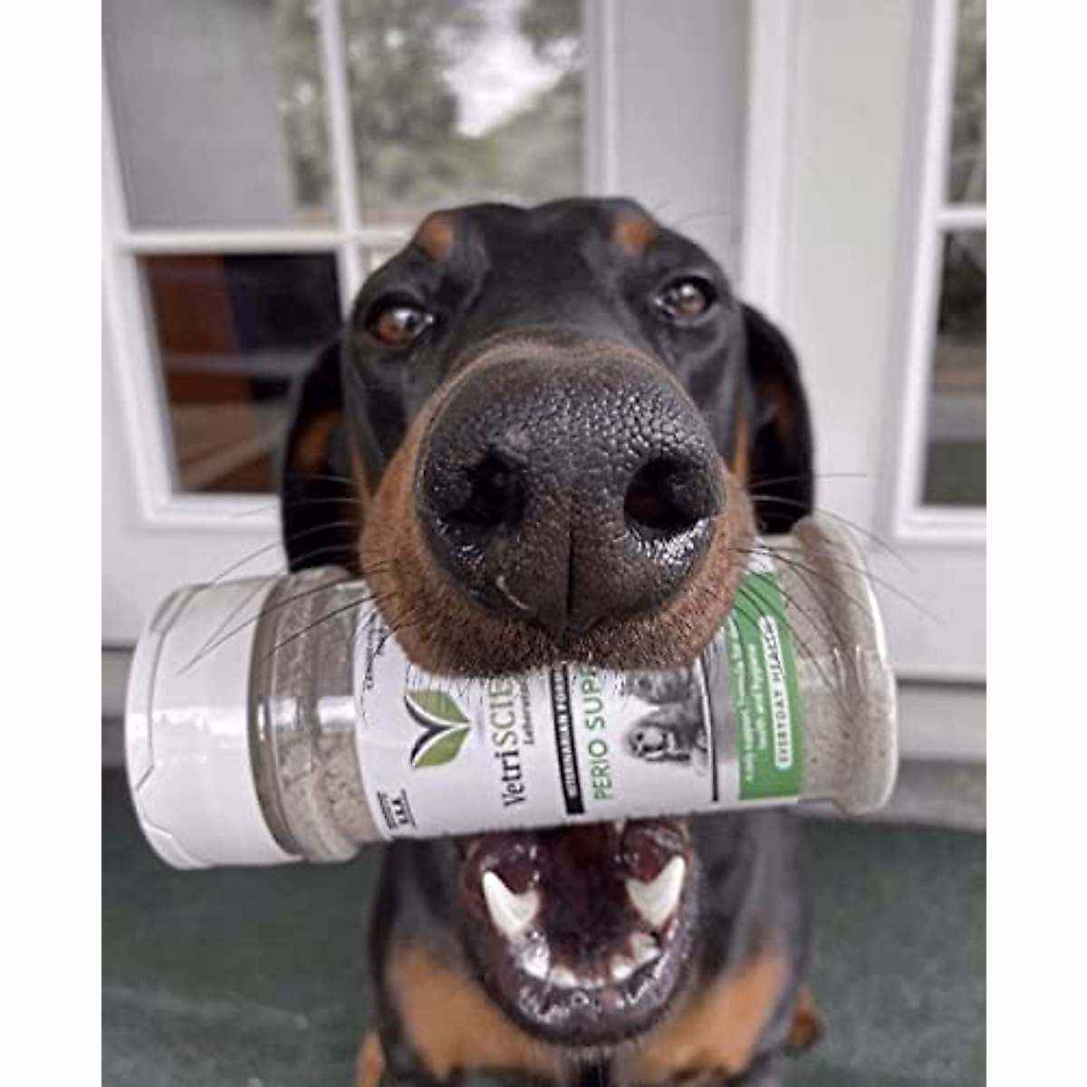 VETRISCIENCE Perio Support Teeth Cleaning Dental Powder for Dogs and Cats, Up to 192 Servings – Clinically Proven to Reduce Plaque and Tartar