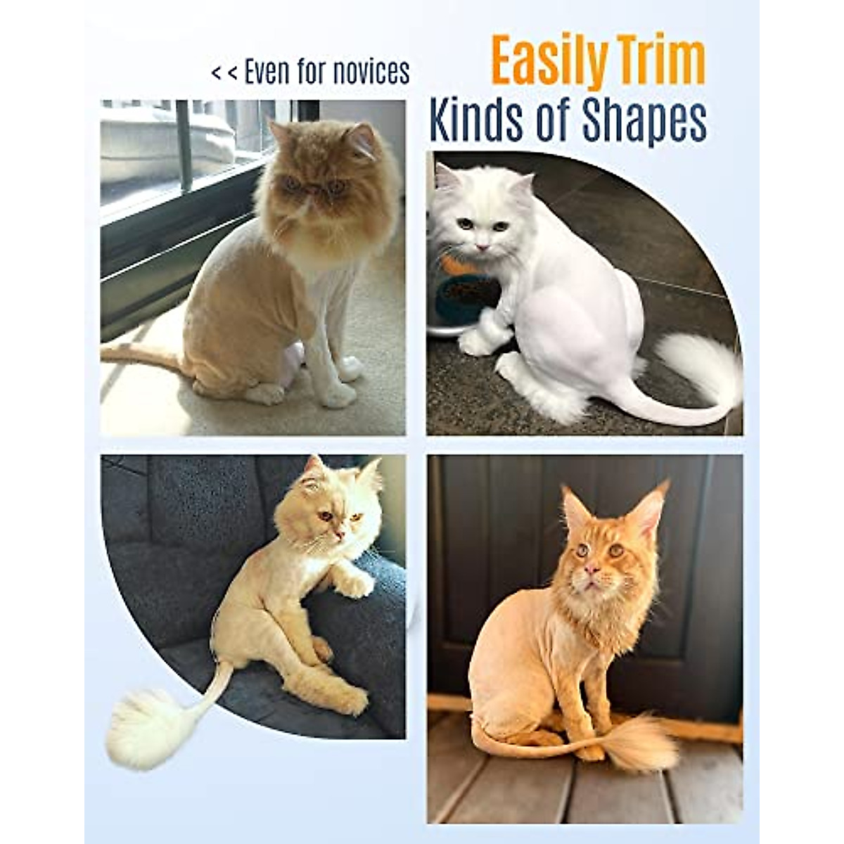 Cat Grooming Clippers for Matted Long Hair,Low Noise Cat Clippers Shaver,4 Speed Cordless Pet Clippers Kit for Cats Dogs and Pets