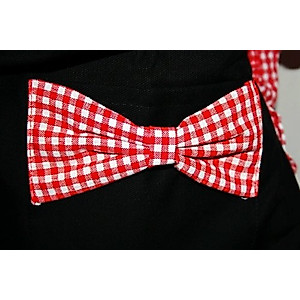 Hyzrz Women's Apron with Pockets, Black and Red