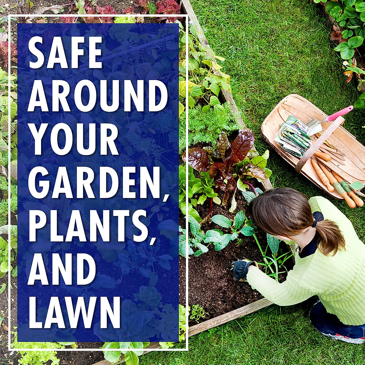 30 SECONDS Mold and Mildew Stain Remover | 1.3 Gallon | Ready To Use | Battery Powered Spray Wand