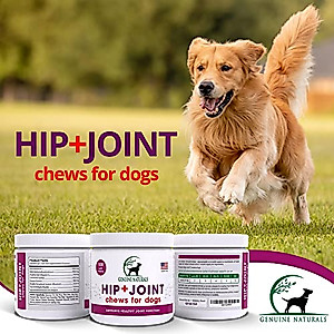 Genuine Naturals™ Hip and Joint Supplement for Dogs - Glucosamine Chondroitin, MSM, Organic Turmeric Soft Chews, Dog Vitamins, Supports Healthy Joint Function and Helps with Pain Relief,120 Count