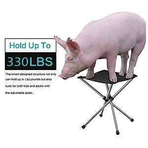 chiitek Foldable Camping Stool Chair Super Compact Ultralight Weight Tiny Size to Carry Out to Hiking, Beach, Camping, Fishing Unfolded Size 12.6 * 12.6 * 13.8inches