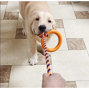 PETLESO Dog Chew Toys Rubber Ring Dog Rope Toy, Dog Rubber Toy with Rope for Aggressive Chewers, Large