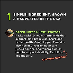 Super Snouts Joint Power 100% Green Lipped Mussels for Dogs & Cats - Dog Joint Supplement Powder Supports Joints, Tendons, Ligaments (5.29 oz)