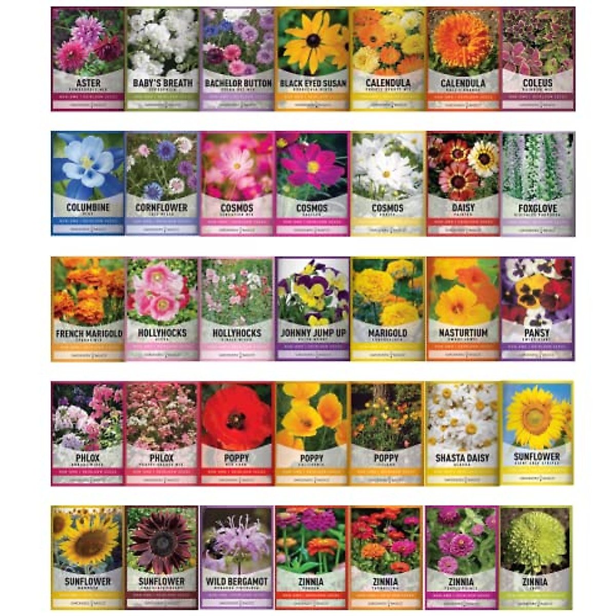 Flower Seeds Packets for Planting 35 Individual Varieties Perennial, Annual, Wildflower Seeds for Planting Outdoors for Bees and Butterflies - Semillas de Flores Hermosas by Gardeners Basics.