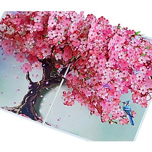 PQ Bees Pop Up Birthdays Card for Women Mom Grandma Wife | 3D Mother’s Day Anniversary Get Well Soon Thank You Valentines Day Card (Size 6x8 In – Cherry Blossom BlueJay Bird).
