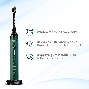 Wagner Stern Ultrasonic whitening Toothbrush with Pressure Sensor. 5 Brushing Modes and 4 Levels of Intensity, 8 Soft bristles, Travel case.
