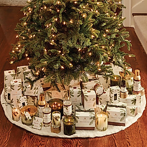 Thymes Wax Melt - 1 Oz - Frasier Fir