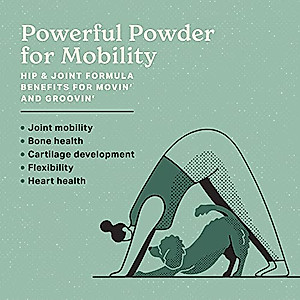 The Missing Link Hip & Joint Probiotics Superfood Supplement Powder for Dogs - Omegas 3&6, Fiber, Glucosamine, Chondroitin, MSM, HA - Cartilage & Bone Health, Joint Mobility & Flexibility - 1lb