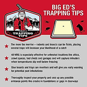 Catchmaster Cold Weather Glue Traps 6PK Mouse Traps Indoor for Home, Pest Control Adhesive Tray, Catch Bugs, Crickets, Spiders, Rats & Rodents, Pet Safe Pre-Baited Glue Boards for House, Shed & Garage