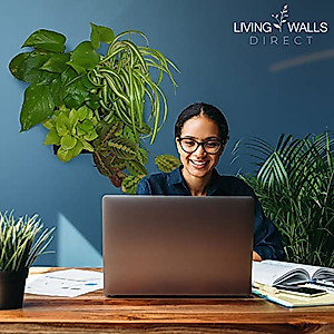 Living Walls Direct Wall Planter | Bustani 2x2 Vertical Garden | 4 Pot Living Wall Planter - Easy to Create Indoor Living Wall for Home/Office | Great Decor for Patios & Entryways | Made of Plastic