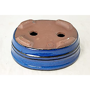 6" Oval Blue Glazed Bonsai/Succulent Pot + Soil + Tray + Rock + Mesh Kit