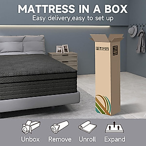 sdoodo King Mattress,14 Inch King Size Mattress in a Box with Independent Pocket Spring,Memory Foam Hybrid Mattress,Pressure Reliving,Medium Firm,CertiPUR-US Certified
