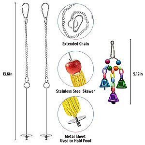 BNOSDM 5 Pieces Chicken Xylophone Toys Chicken Mirror Toy Chick Veggies Skewer Vegetable Hanging Feeder Coop Accessories Chicken Coop Toys for Hens Roosters Birds