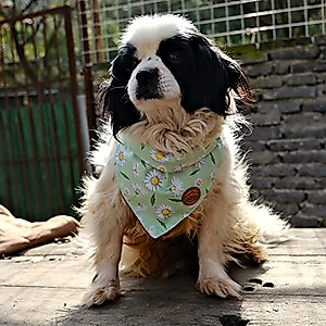 CROWNED BEAUTY Spring Summer Dog Bandanas Reversible Large 2 Pack, Floral Set, Plaid Adjustable Triangle Holiday Green Scarves for Medium Large Extra Large Dogs Pets DB34-L