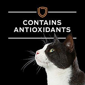 Purina Pro Plan Veterinary Diets NF Kidney Function Advanced Care Feline Formula Adult Dry Cat Food - 8 lb. Bag