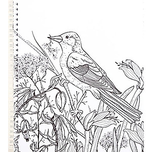 Color & Frame - 3 Books in 1 - Nature, Country, Patchwork (Adult Coloring Book)