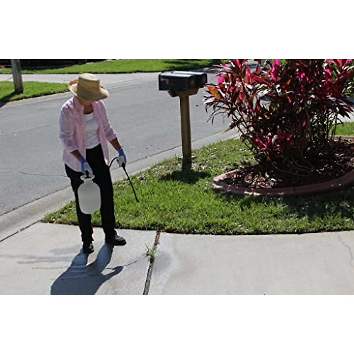 Chapin International Chapin 16144 1 Gallon Multipurpose Lawn, Home and Garden Sprayer, Translucent White