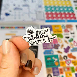 Rude and Humorous Planner Stickers for Adults - 660pc Unique Assorted Journal Decorations - Stay Organized and Get Your Life Under Control - Matte Finish, Unplanner Stickers by Vladi Creative